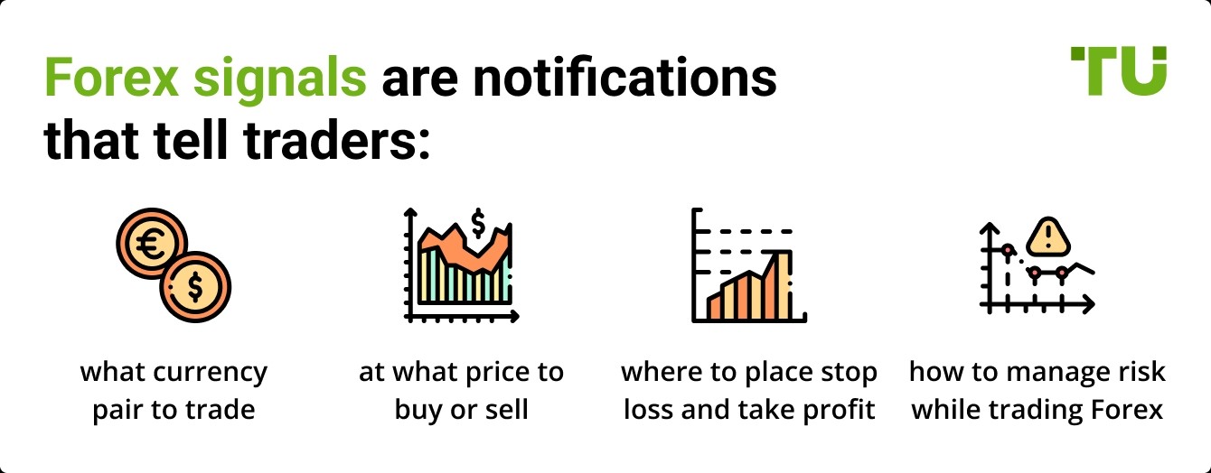 Best Forex Signals On Telegram 2026
