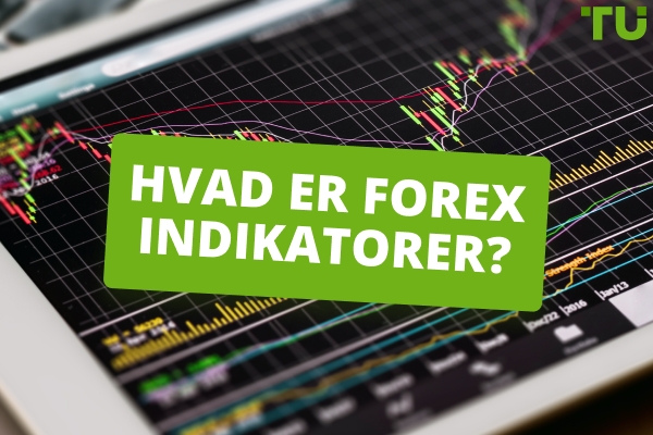 Hvad er Forex-indikatorer? Definition - Traders Union