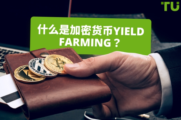 Yield Farming 详解：一步步教程