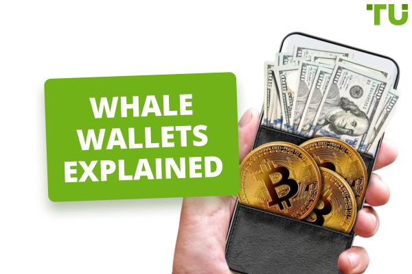Whale Wallets Explained | How to Track Top Crypto Whale Wallets